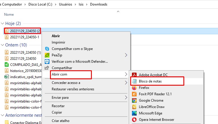 Não consigo abrir arquivo PDF que foi anexado no sistema, o que fazer ...